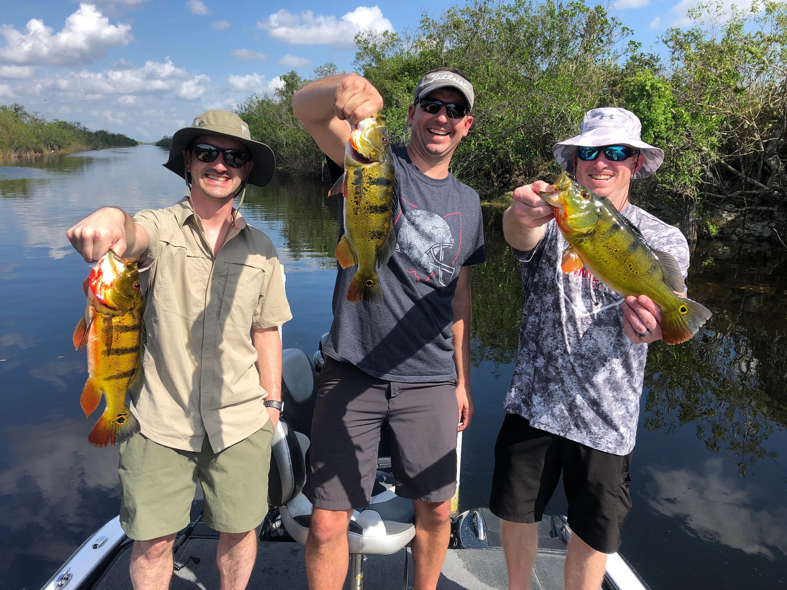 Expert Bass and Peacock Fishing Guide
