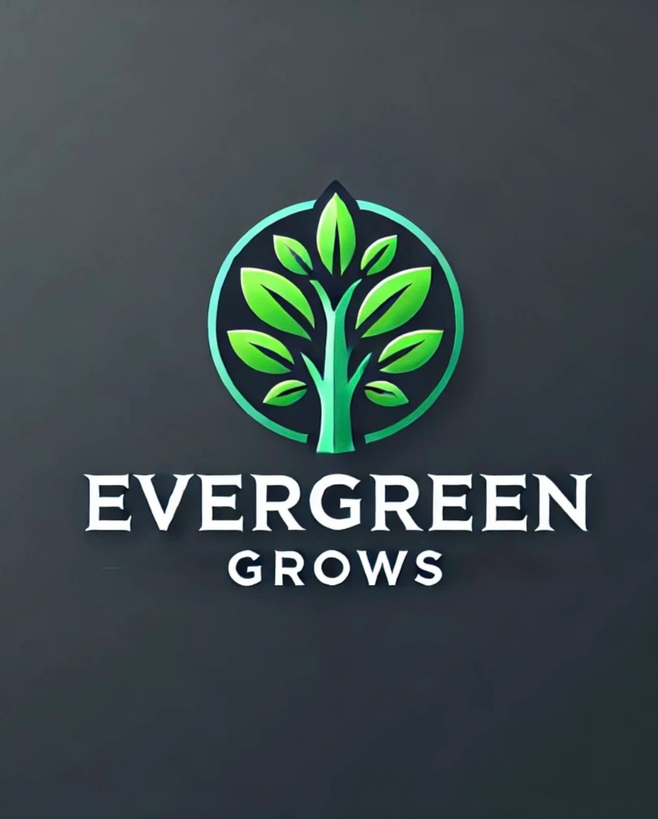 Evergreen Grows