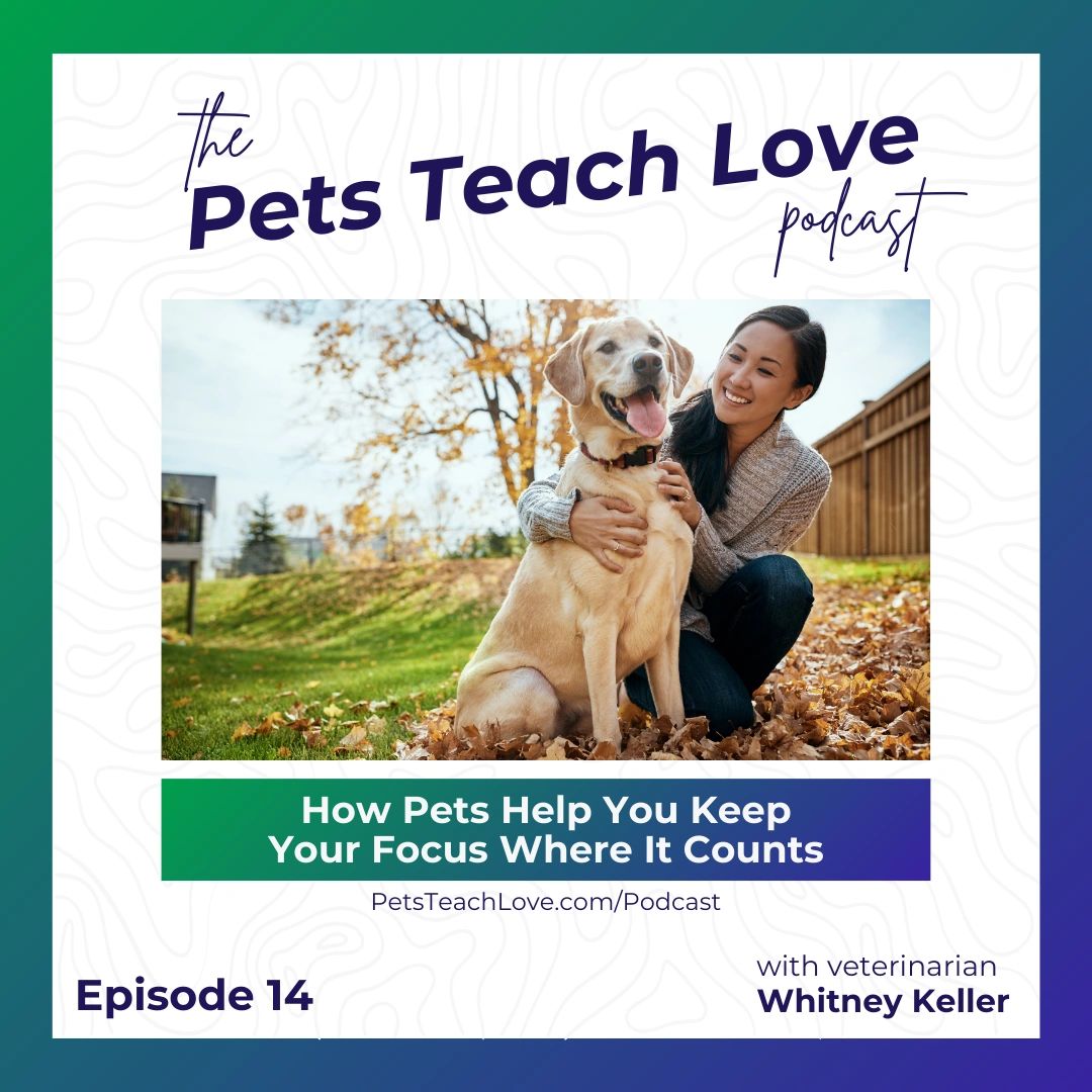 #14: How Pets Help You Find Focus Where it Counts