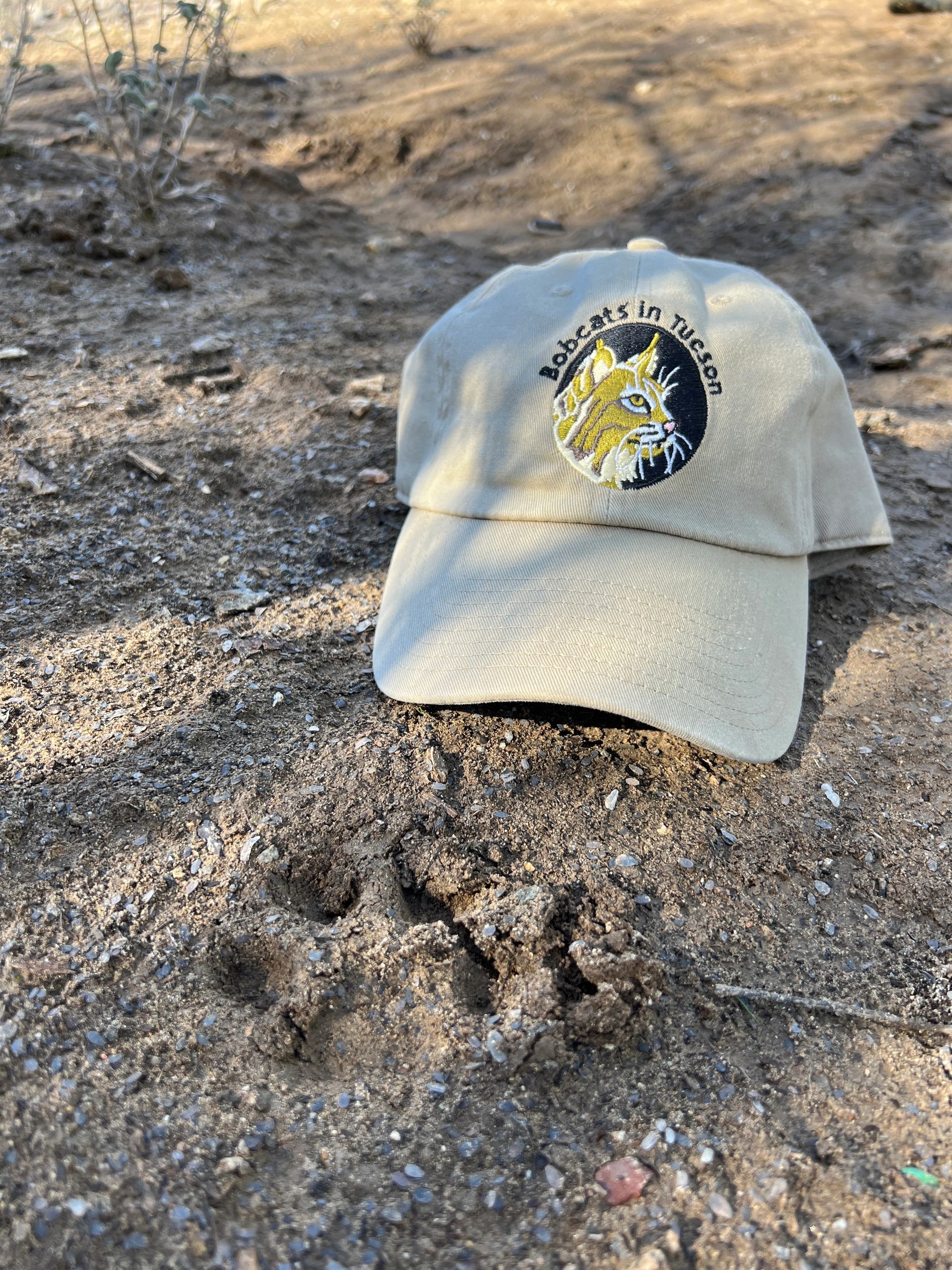 Bobcats in Tucson - The Results are In and Now Available!