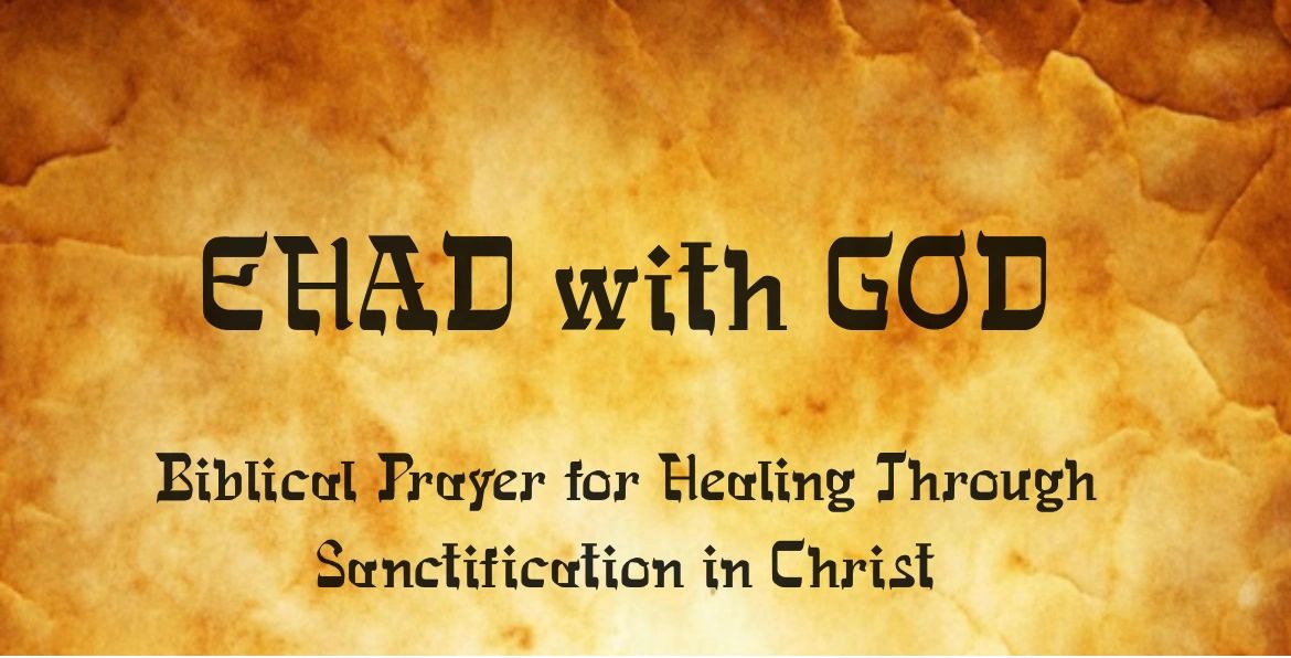 HOME [thetraumahub.org]