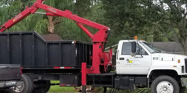 From The Ground Up of Florida, LLC offers all phases of tree services ...