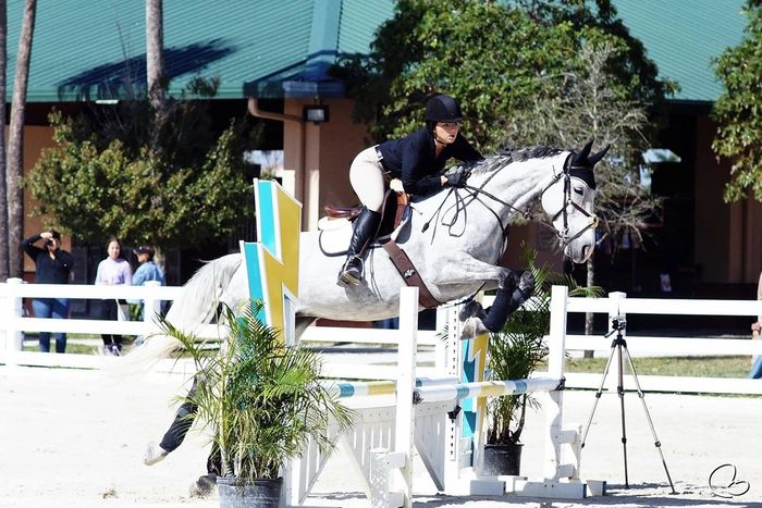 Horseback Riding Lessons and Summer Camp in Miami - Gold Stirrup Show ...