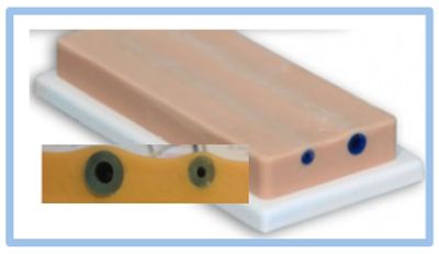 STEM Correct Vein Blocks