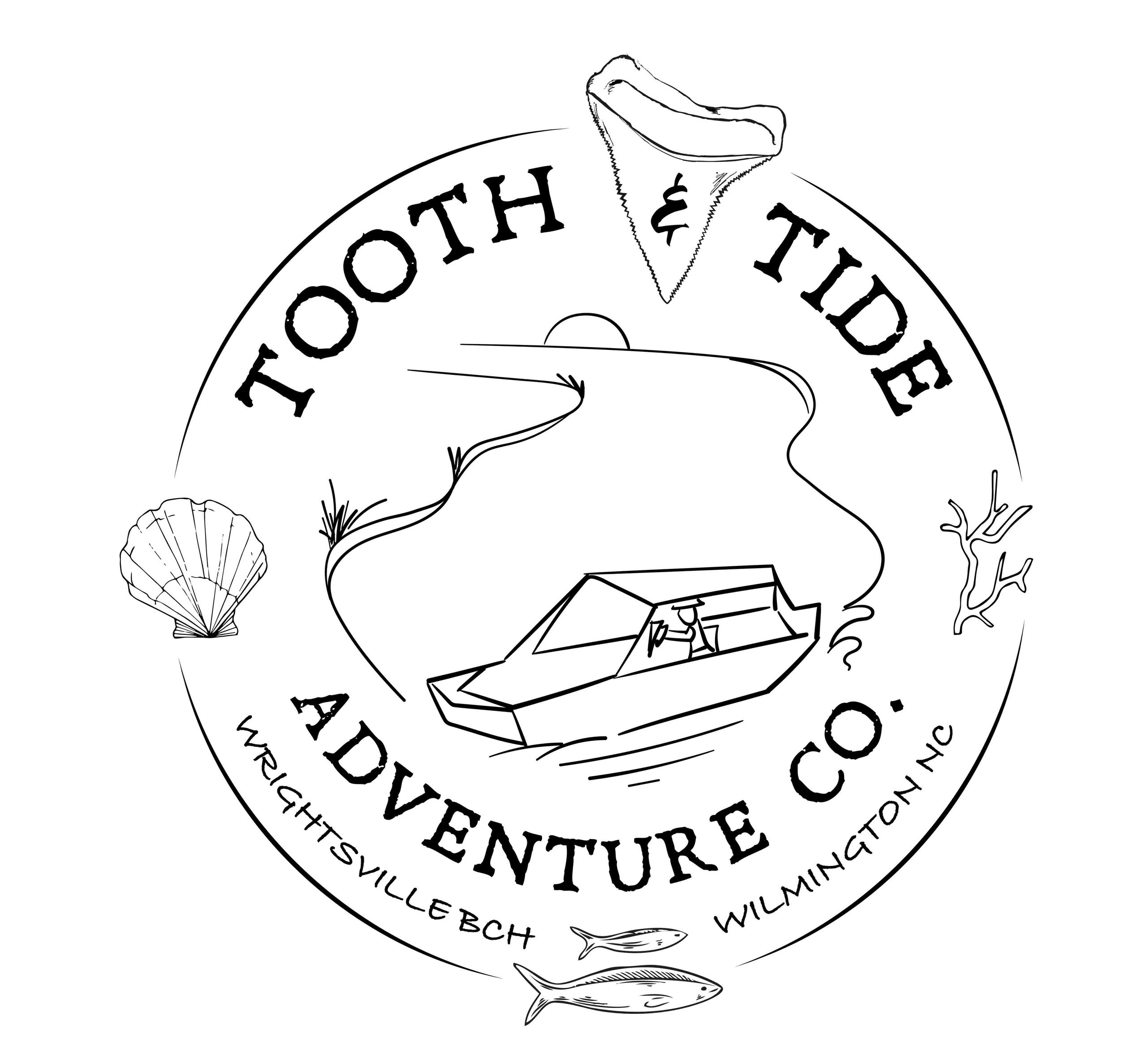 Best Shark Tooth Hunting Adventures Near Me