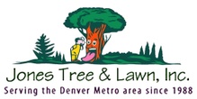 Jones Tree & Lawn | Arborist