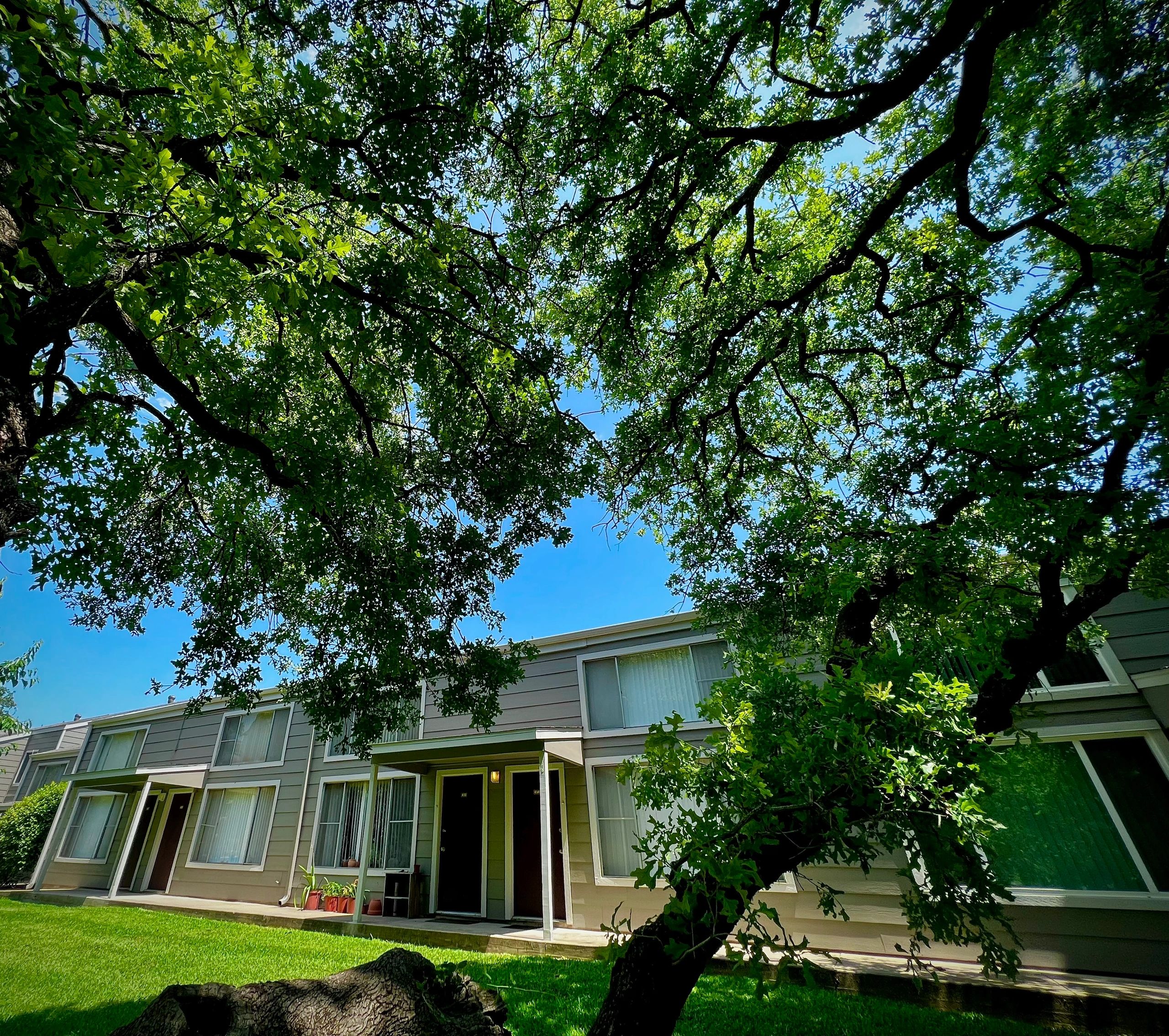 Treehouse Apartments