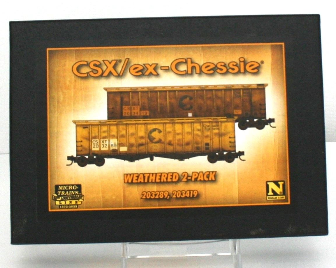 CSX/ex-Chessie weathered 2 pack