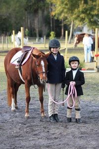 English Riding Lessons - The Good Beginning Riding Centre