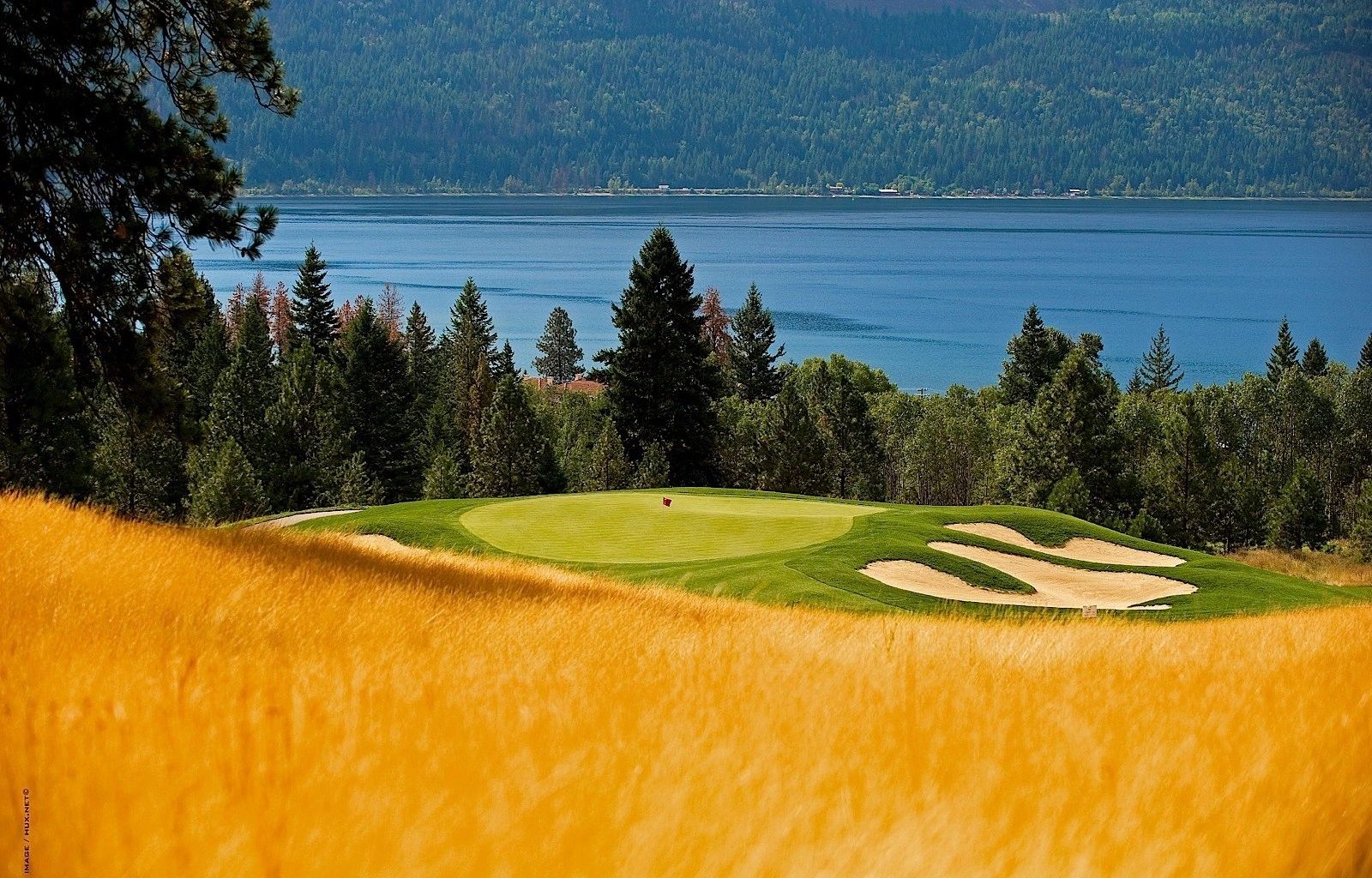 WAYNE CARLETON GOLF DESIGN & MANAGEMENT - Golf, Architecture, Design