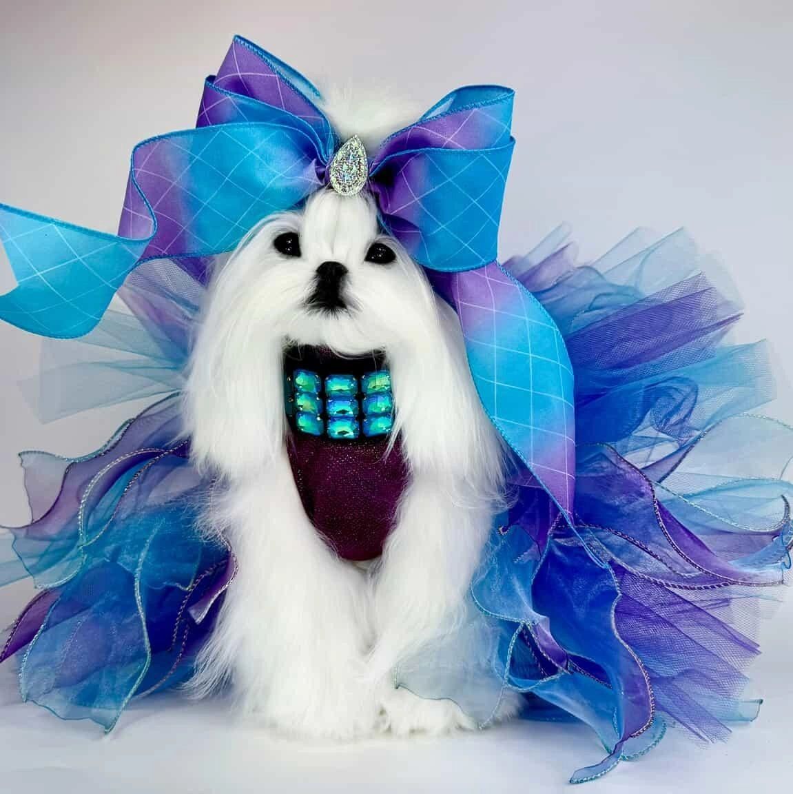 Limited Edition Shimmering Fishtail Pet Tutu