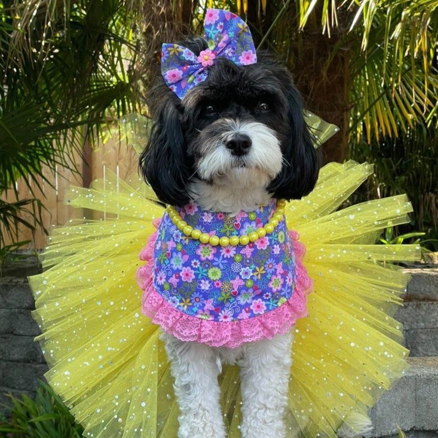 Premium Yellow Sparkle Tutu for Dogs and Cats