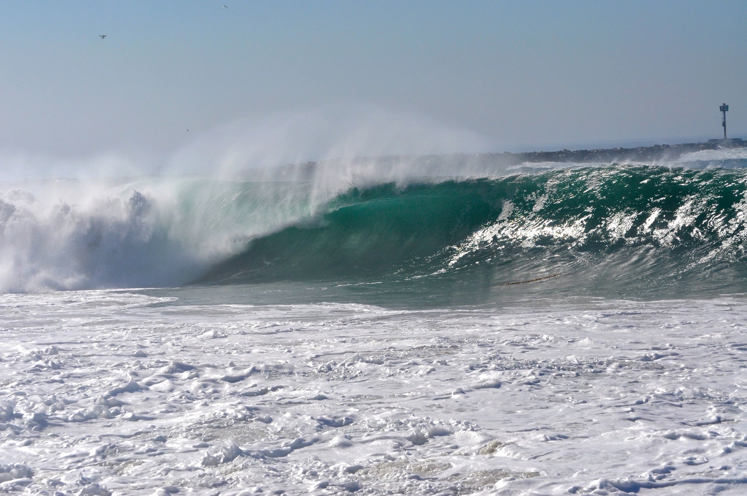 Hogan Waves - Waves, The Wedge, Surfing