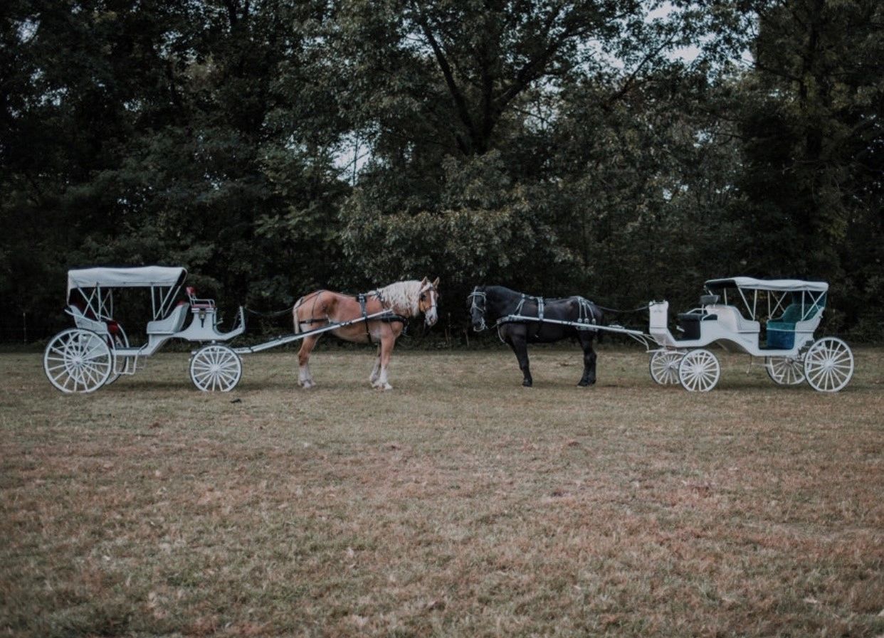 312 Farms & Carriage Company