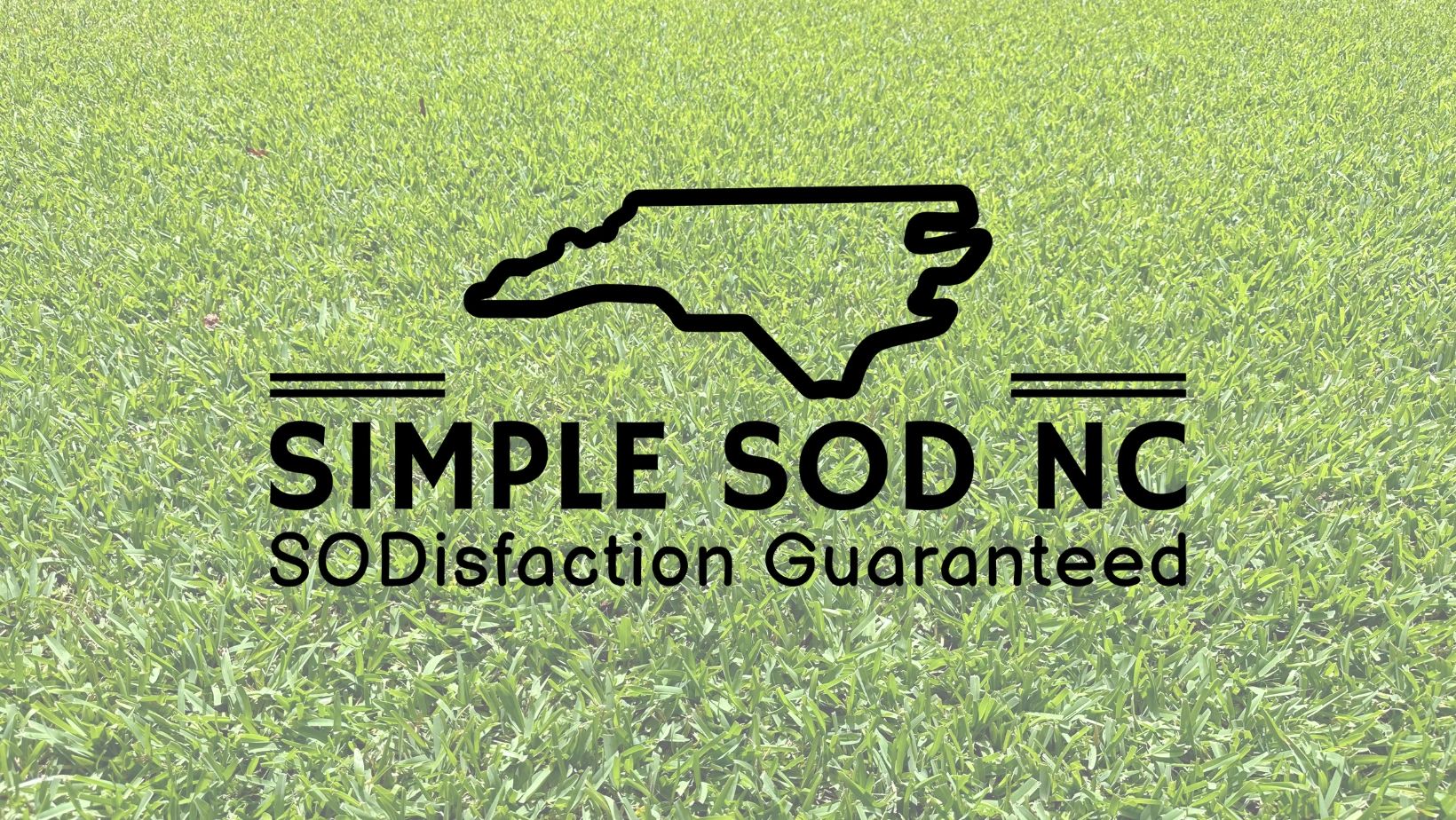 Sod Wilmington Nc
