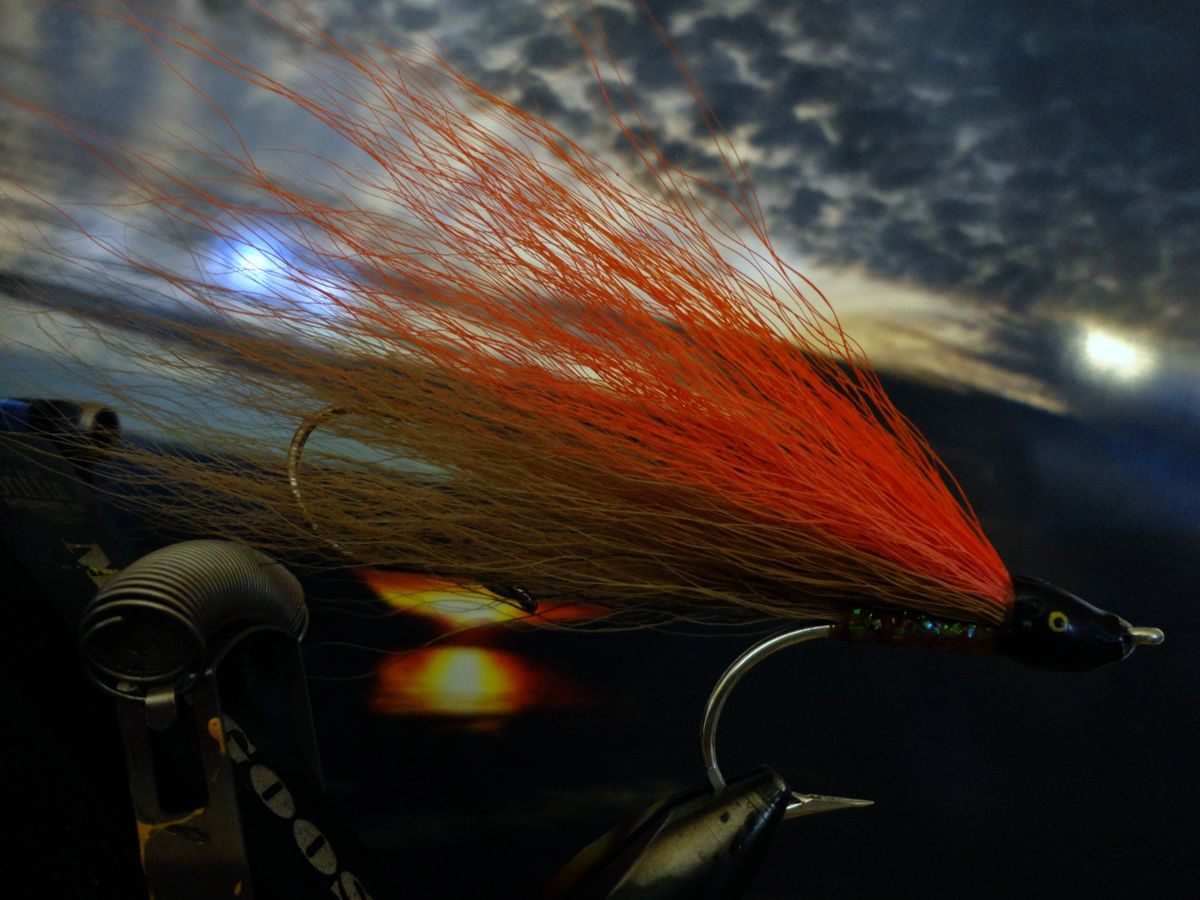 F-25 Shoo Fly Trolling Flies