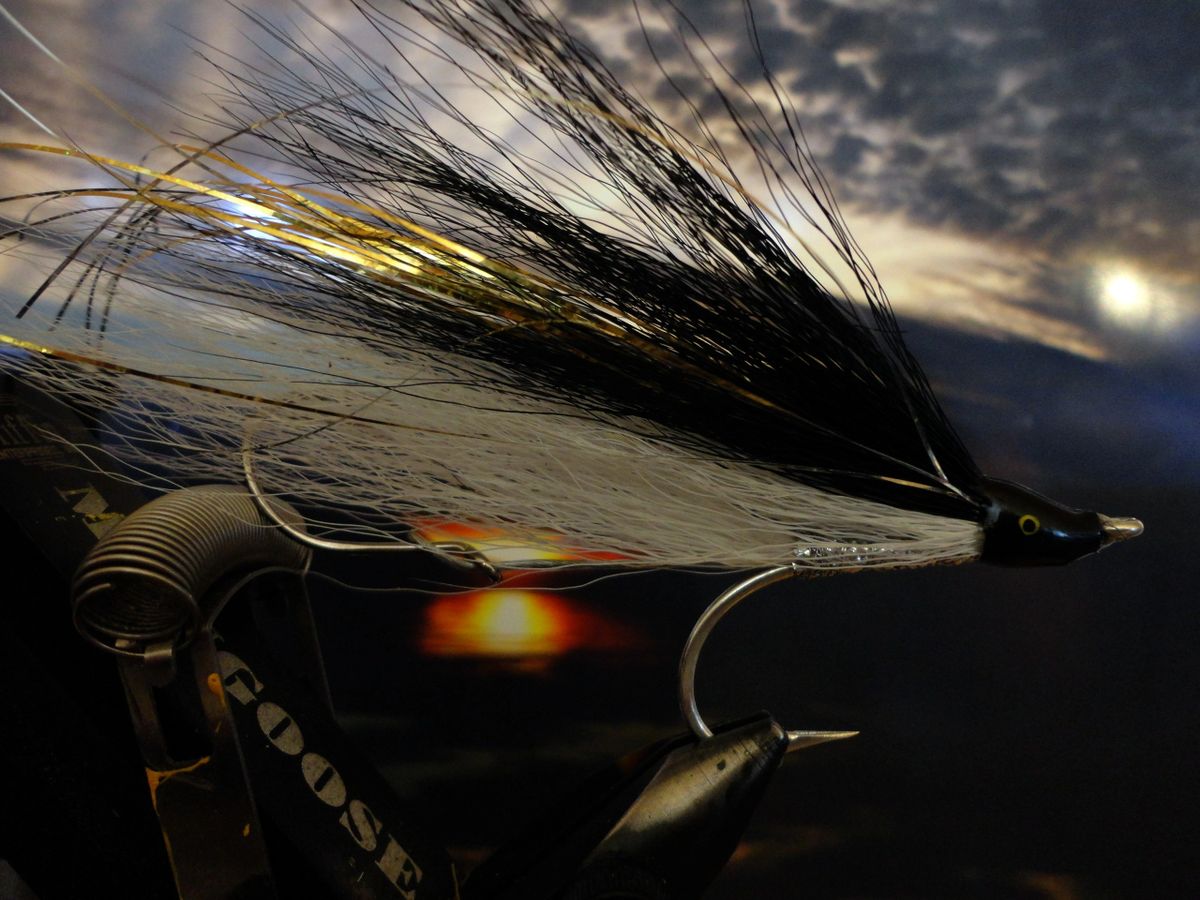 F-58 Shoo Fly Trolling Flies