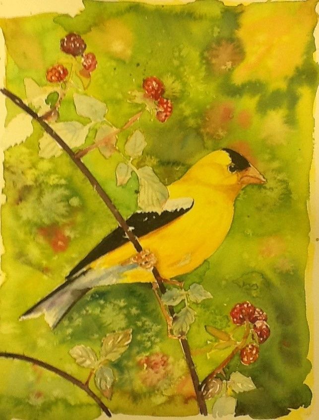 Watercolor & Pastels- Mondays with Fran Vail