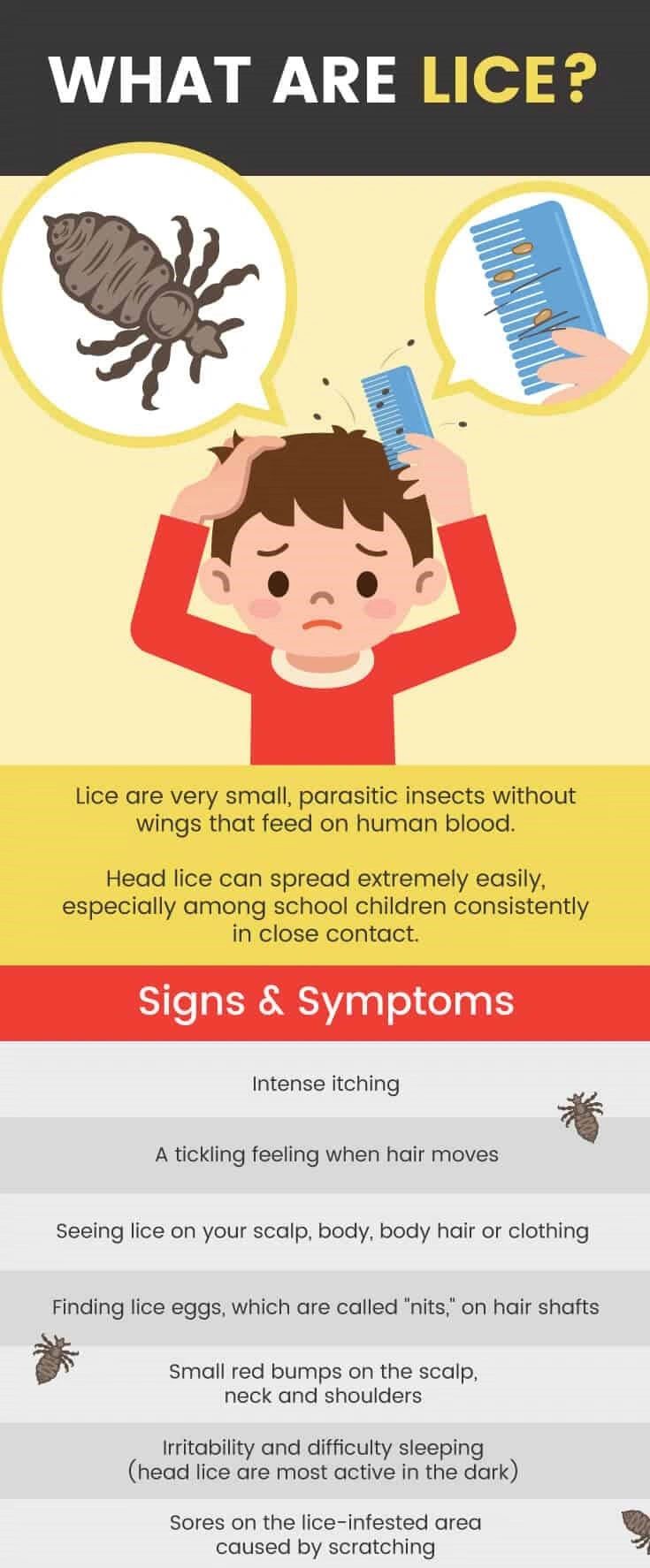 Head Lice Signs, Symptoms, Causes, and Factors