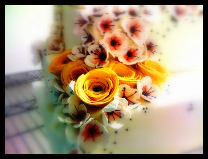 Home Page [kissmycake.org]