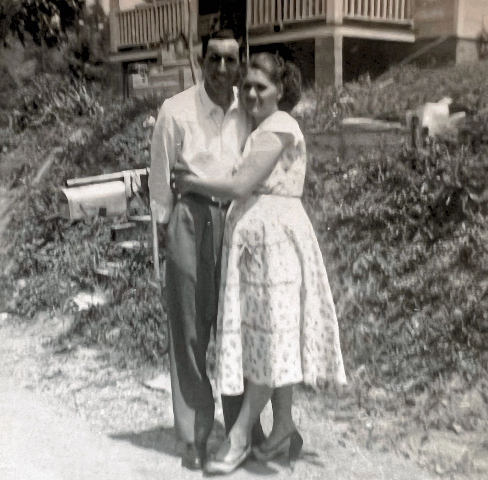 The Rainey Family Tree