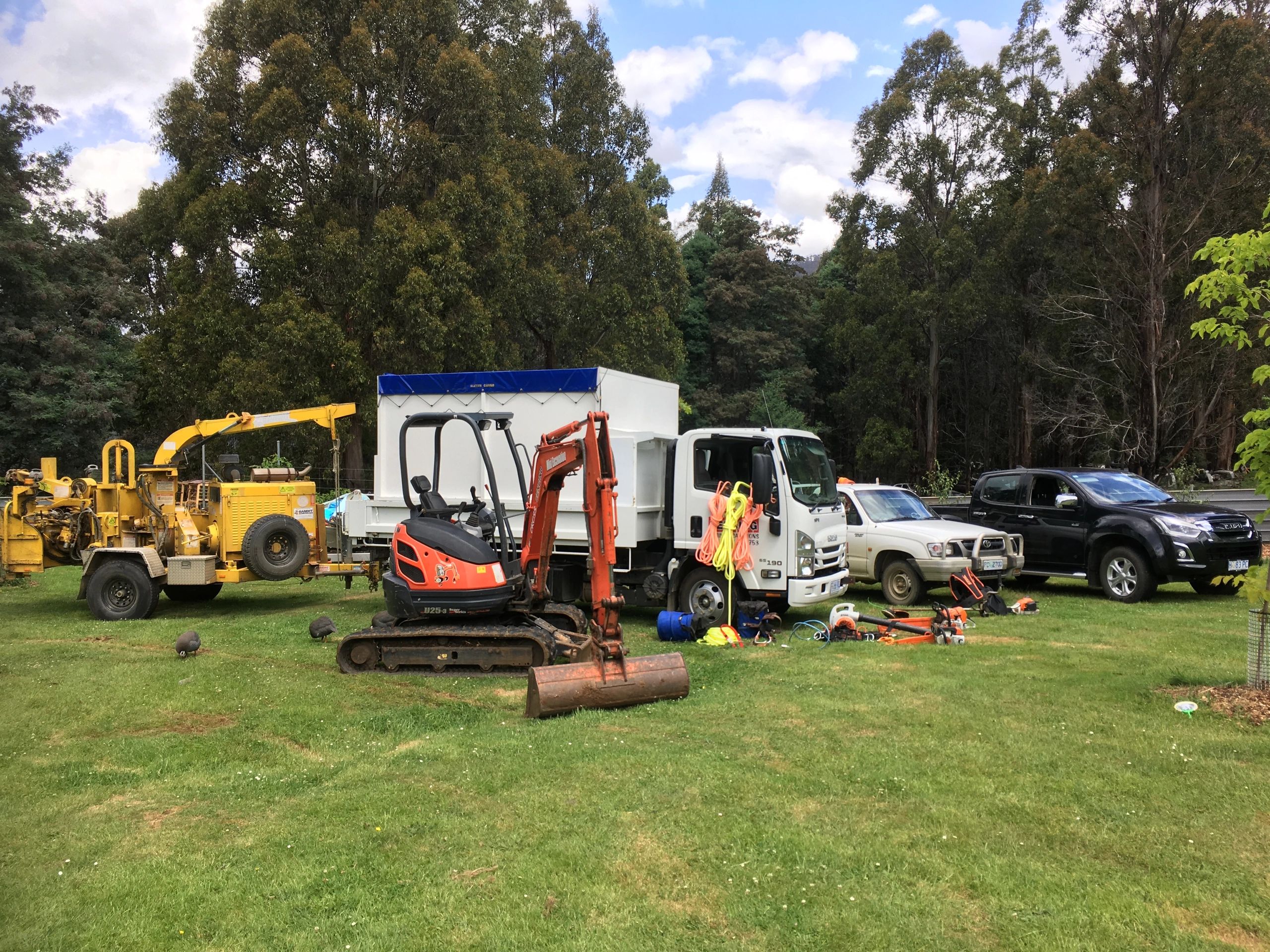 Craig Cross tree services - Tree Removals - Sandy Bay, Tasmania