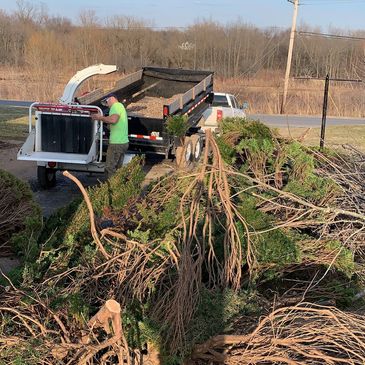 L. Moore Tree Service