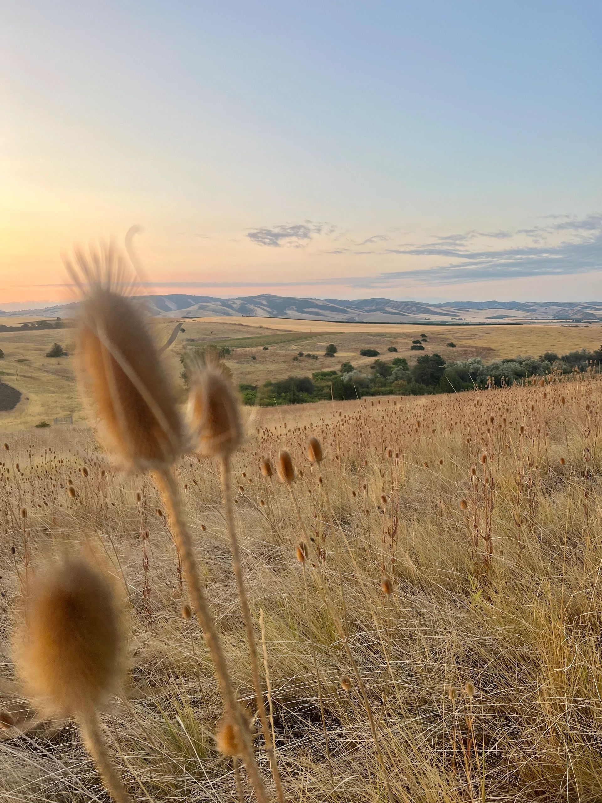 Jeffrey J. Cain - Home