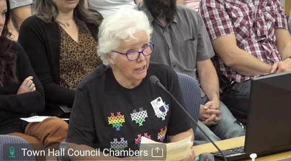 Angela Thomas 4 Commissioner - Political Candidate Running for Douglas ...