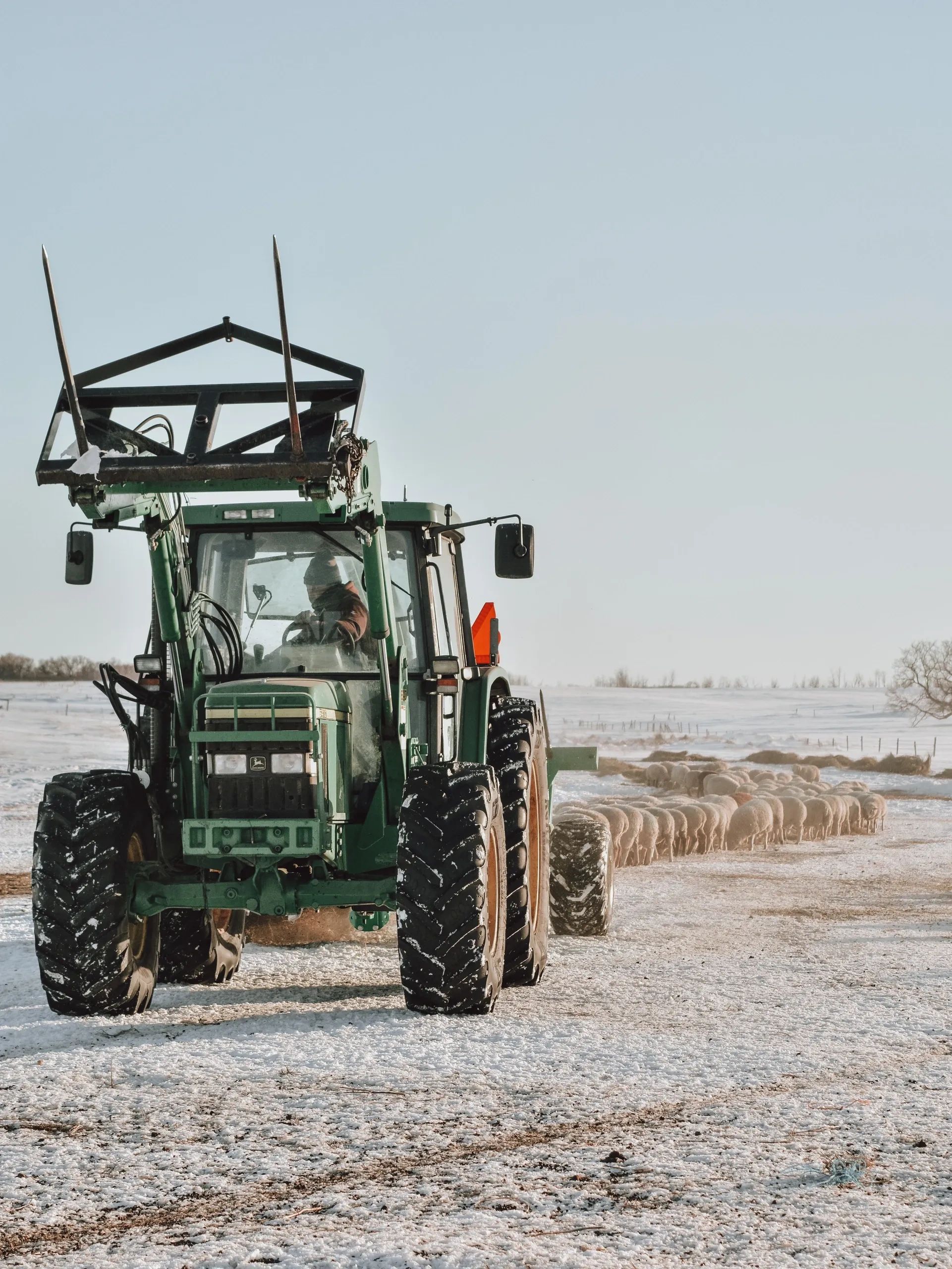 About CSBA | Canadian Sheep Breeders' Association