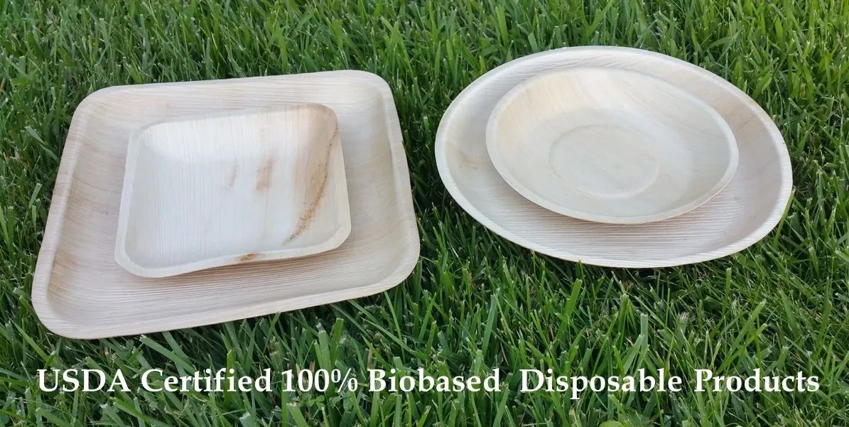Eco-Friendly Tableware: Biodegradable and Compostable Plates | Revived ...