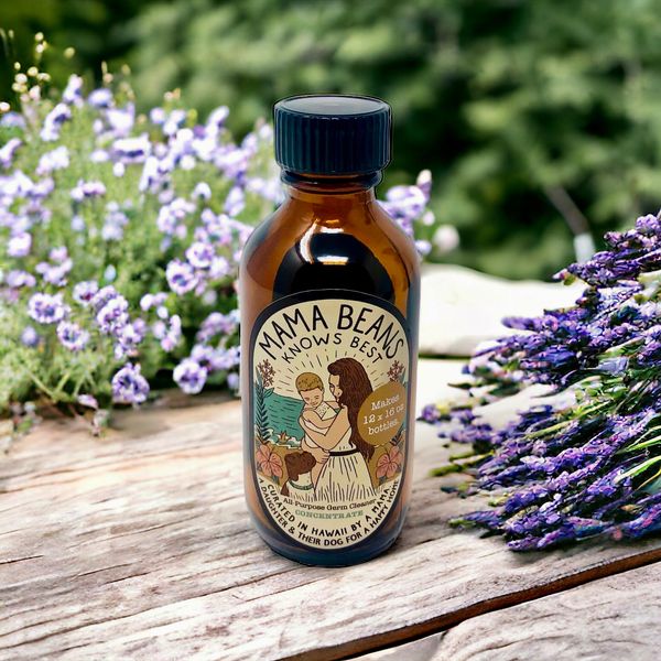 Find the Best Healthy Cleaning Products at Mama Beans Knows Best