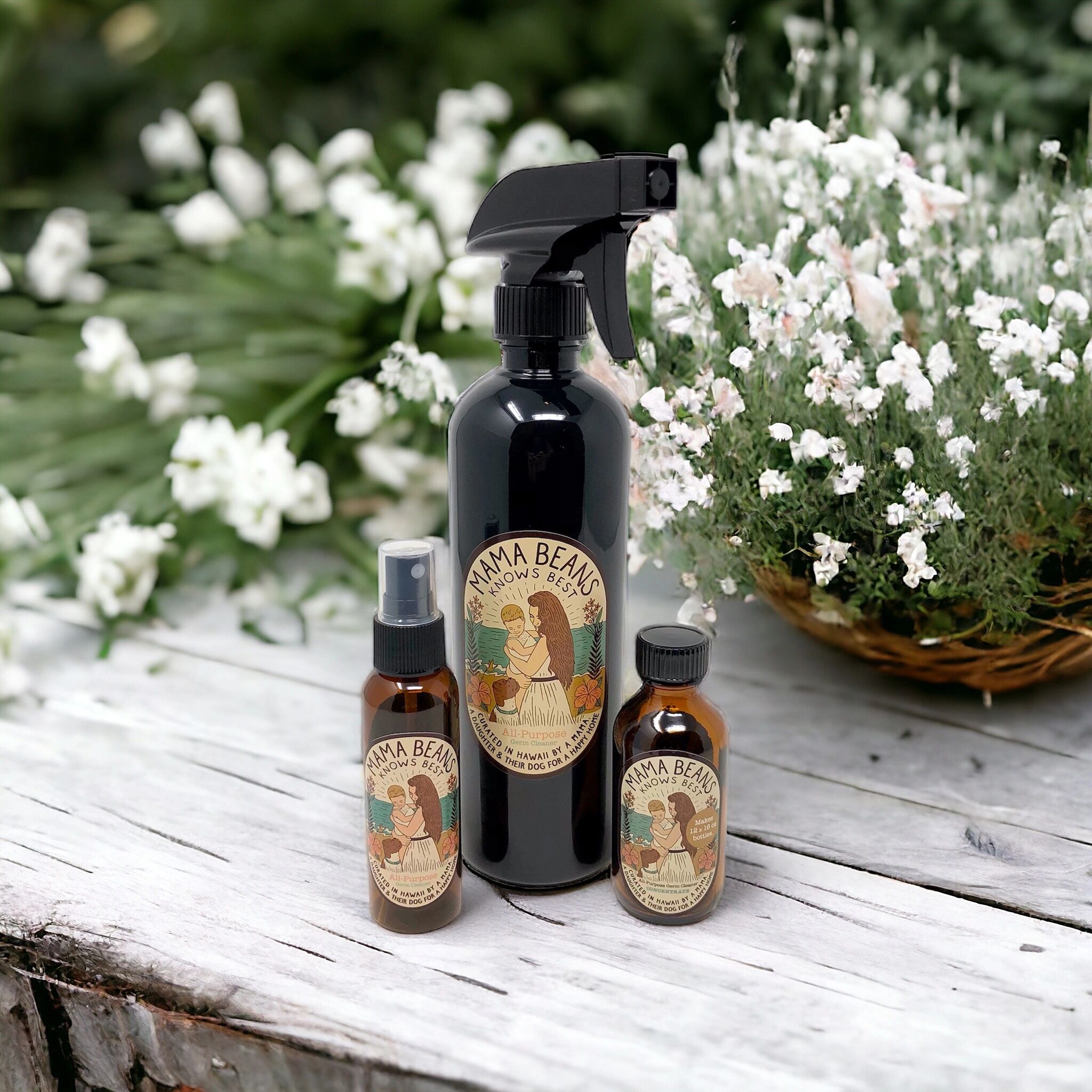 Find the Best Healthy Cleaning Products at Mama Beans Knows Best