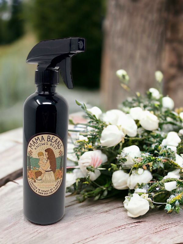 Find the Best Healthy Cleaning Products at Mama Beans Knows Best