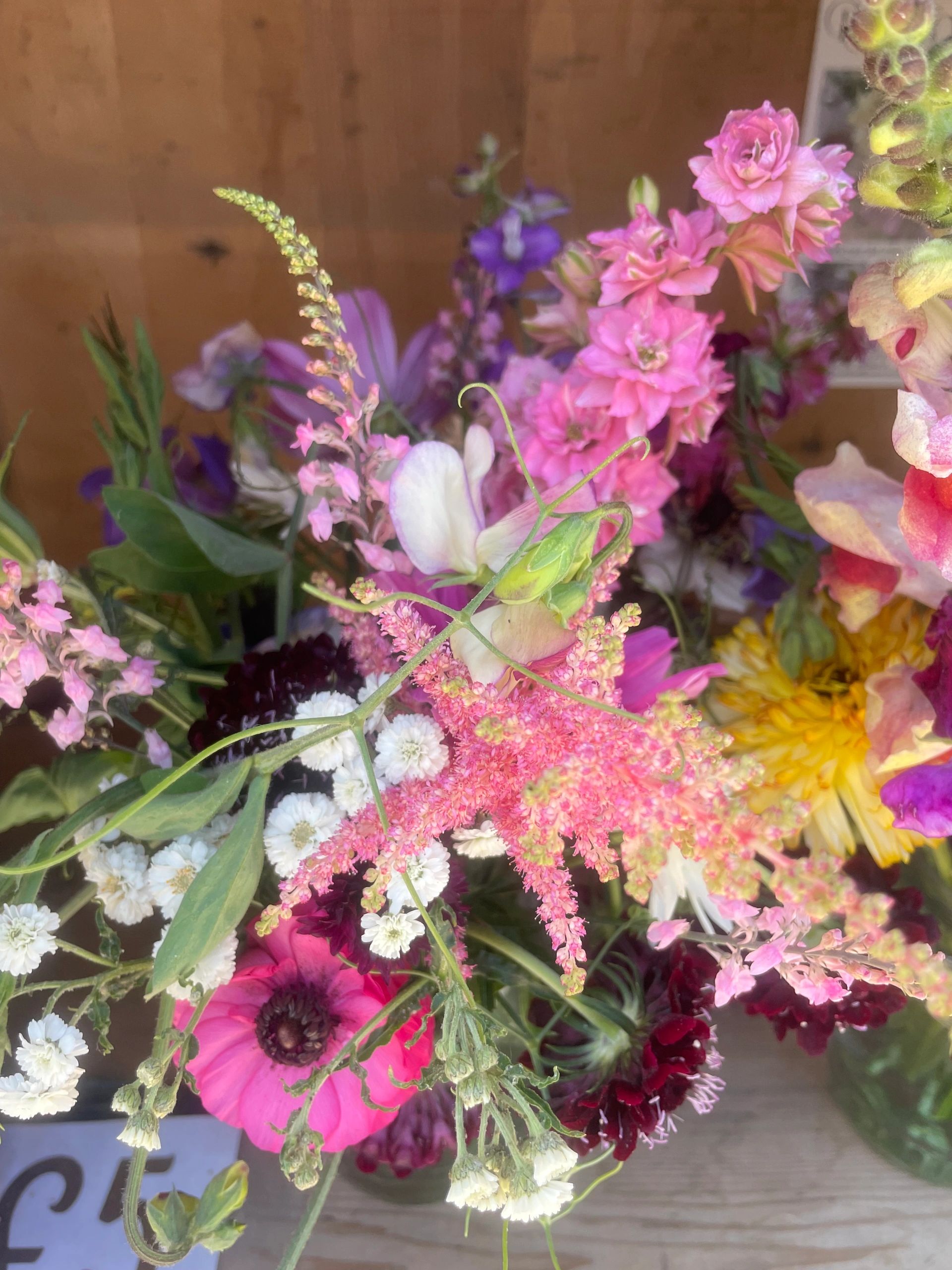 Friar Waddon Flowers