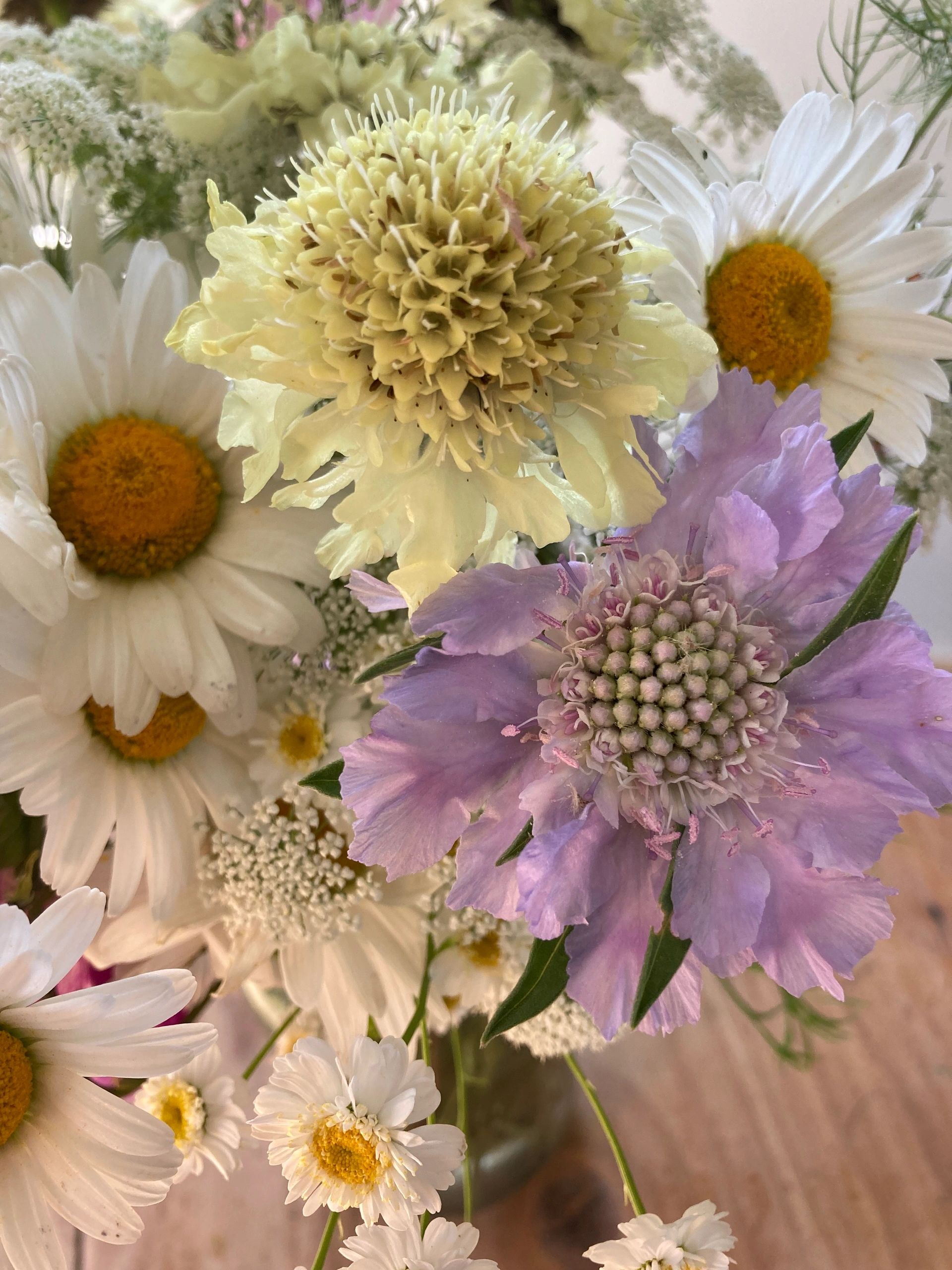 Friar Waddon Flowers