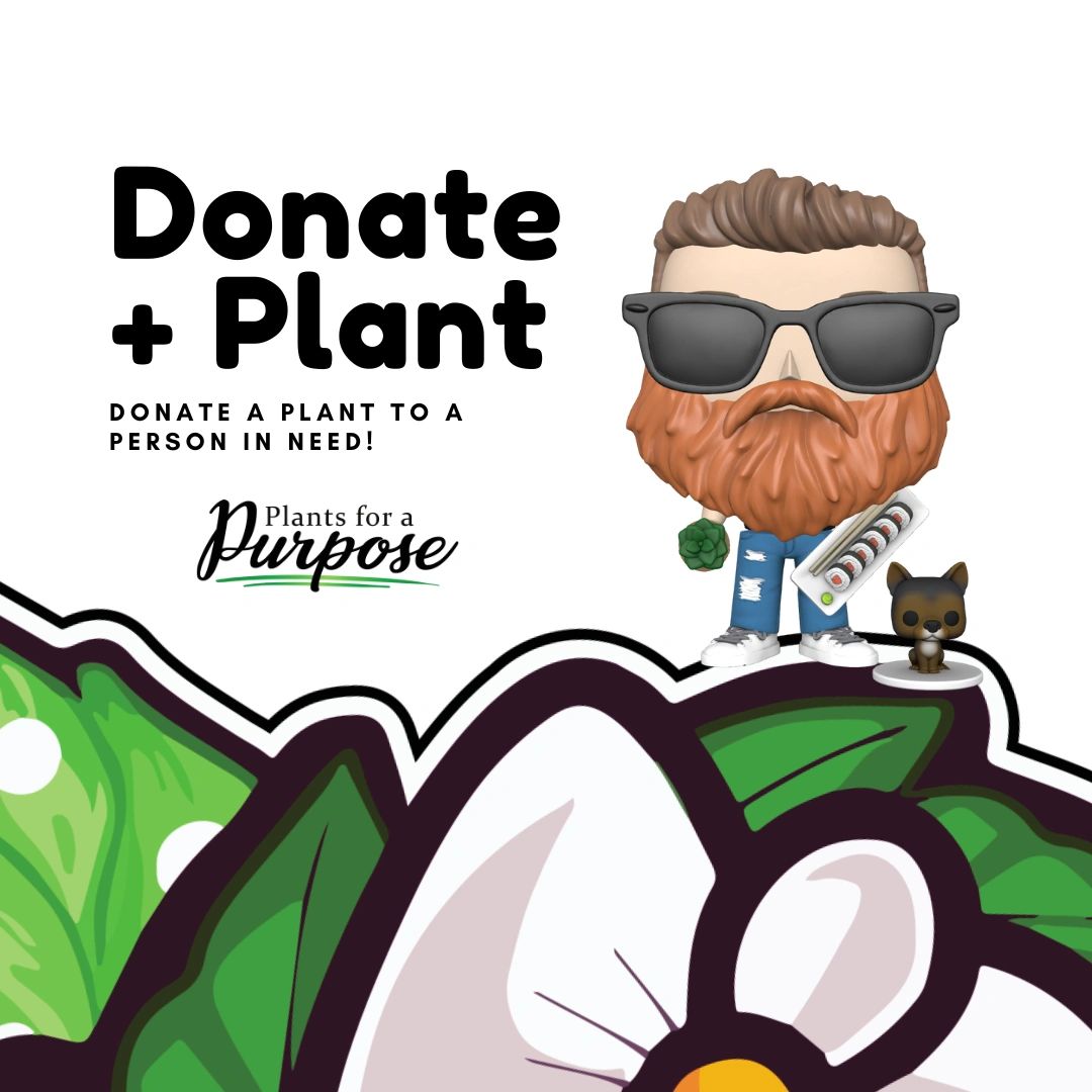 Donate + Plant • Donate a Plant to a Person in Need