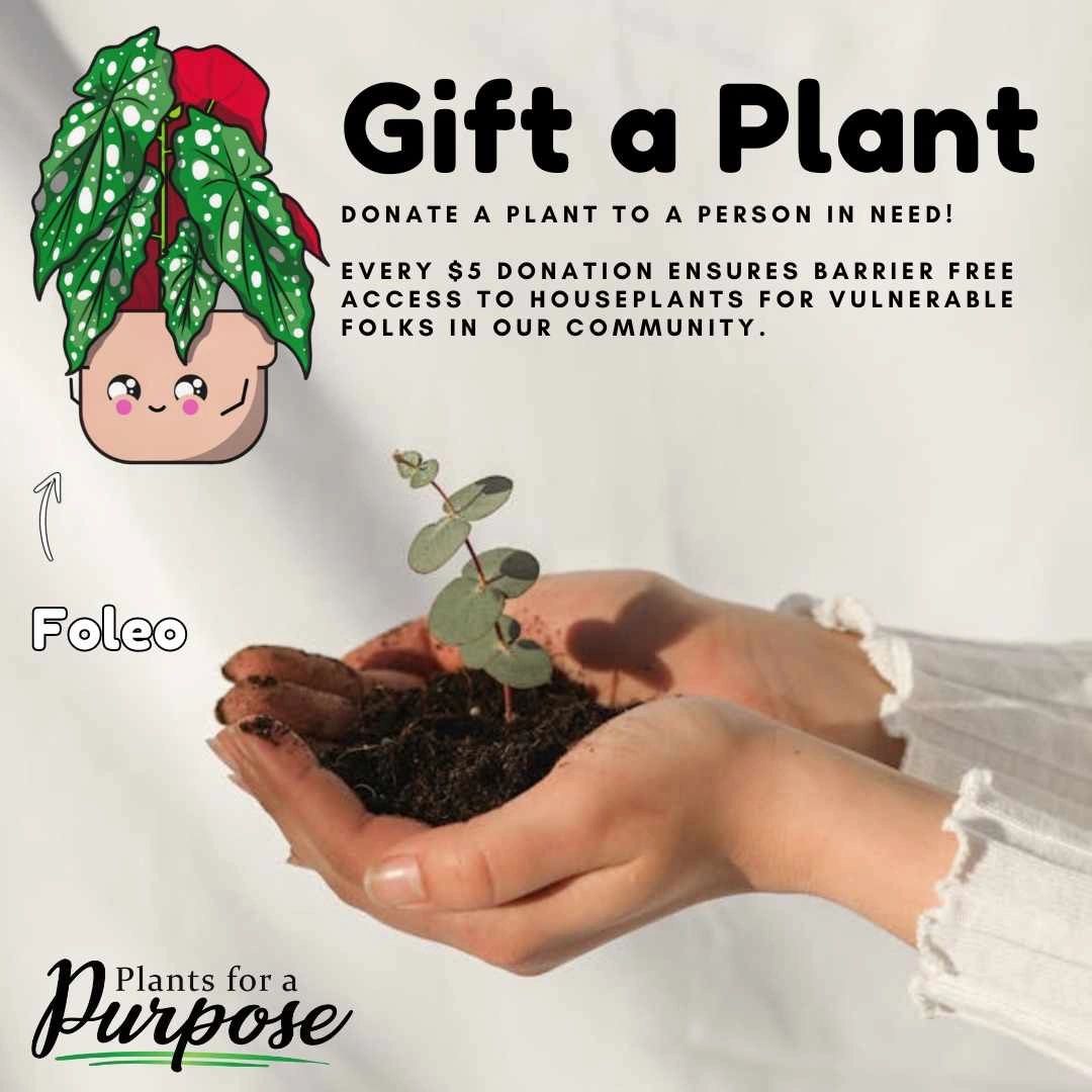 Gift a Plant - Donate a Plant to a Person in Need
