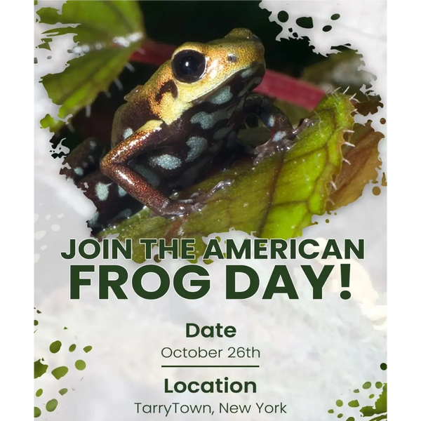 Join us for the annual American Frog Day fundraiser for conservation ...