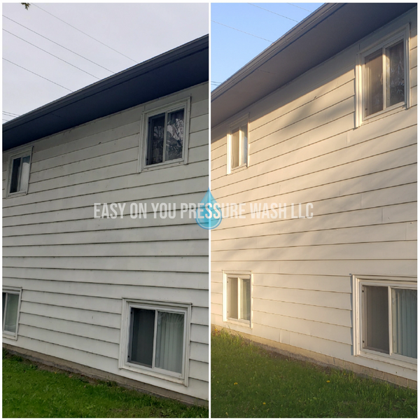 Expert Pressure Washing Services