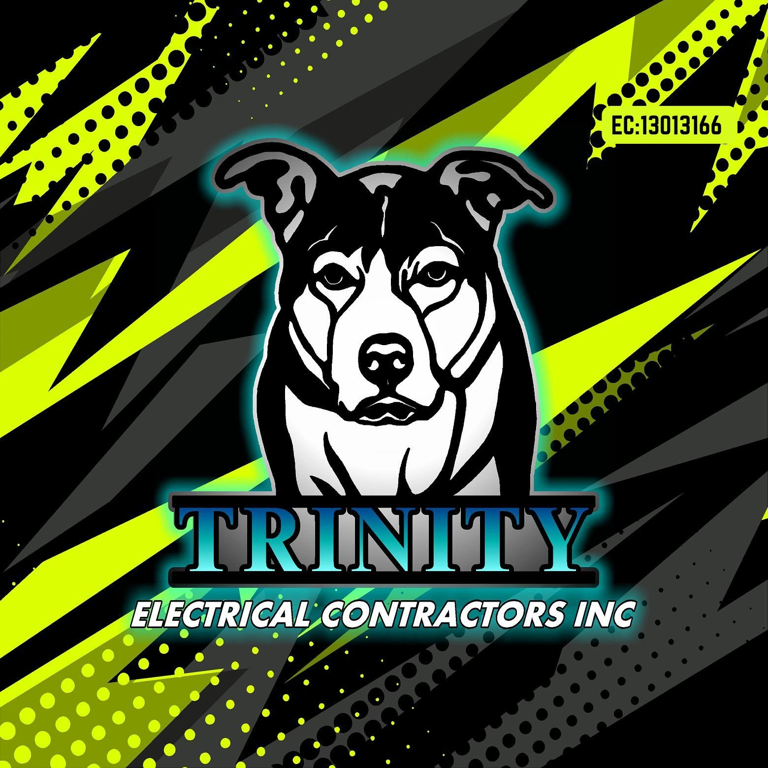 Trinity Electrical Contractors Inc. - Electrical