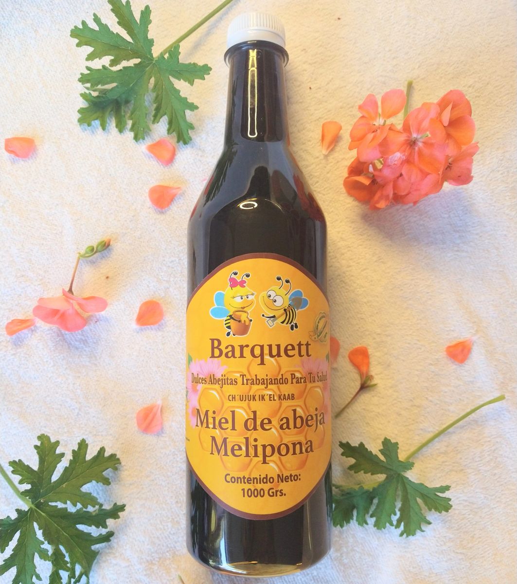 Miel Melipona nutricional y curativa 1000gr