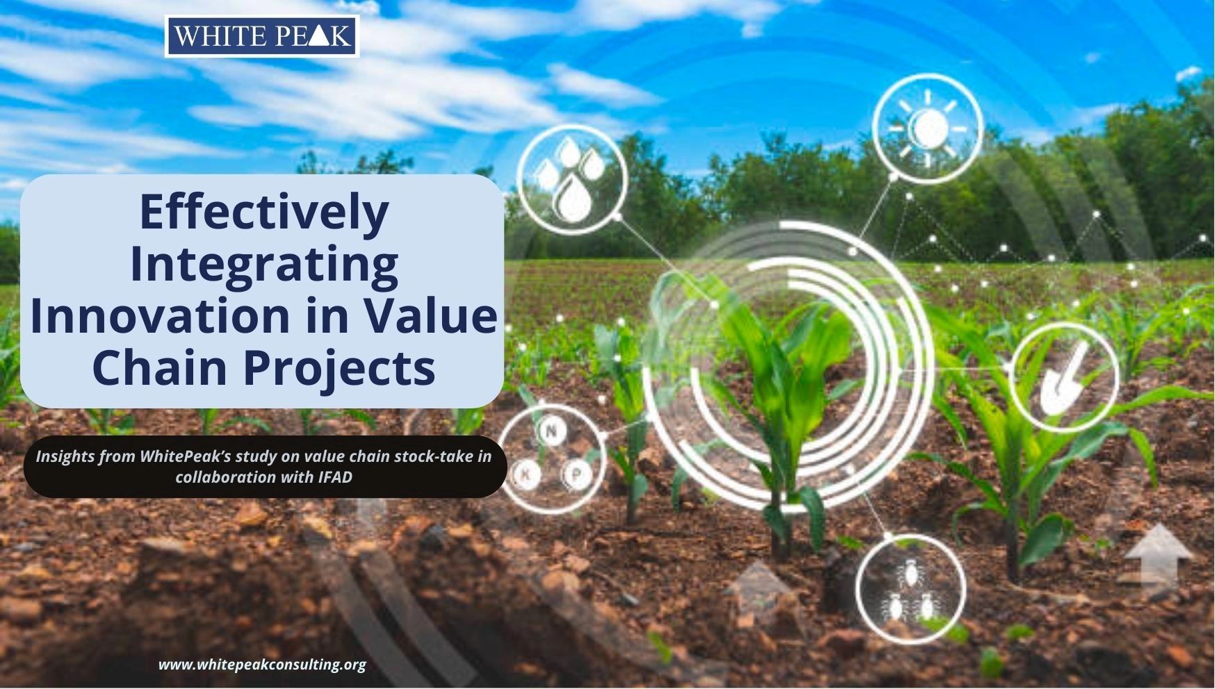 Effectively Integrating Innovation in Value Chain Projects