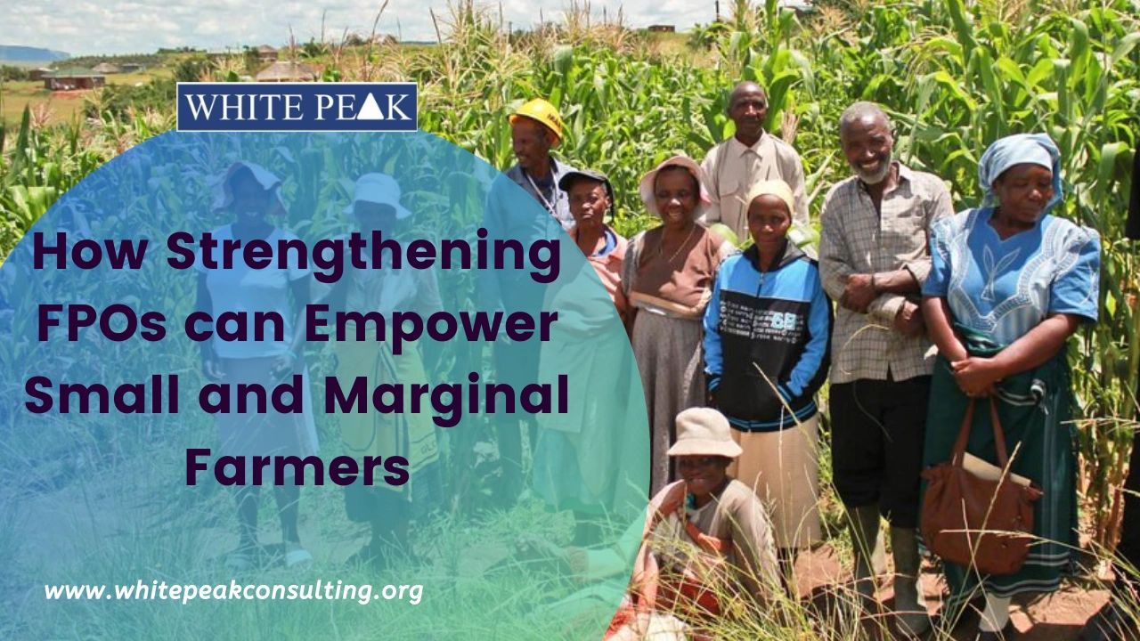 How strengthening FPOs can empower small and marginal farmers