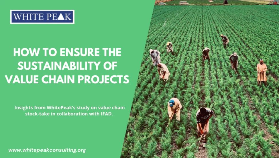 How to Ensure Sustainability of Value Chain Projects