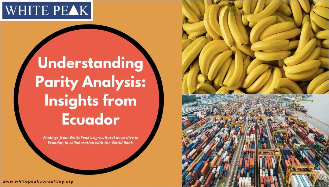 Understanding Parity Analysis: Insights from Ecuador
