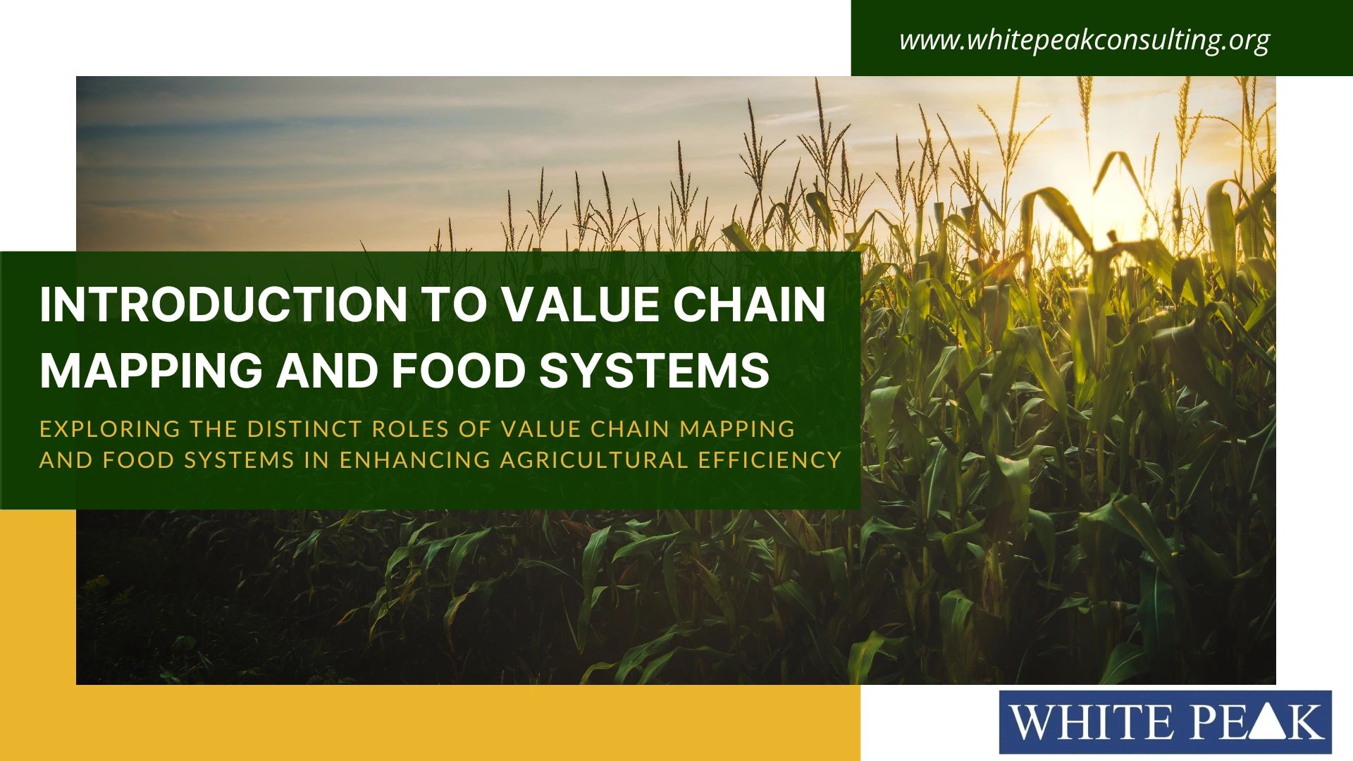 Introduction to Value Chain Mapping and Food Systems