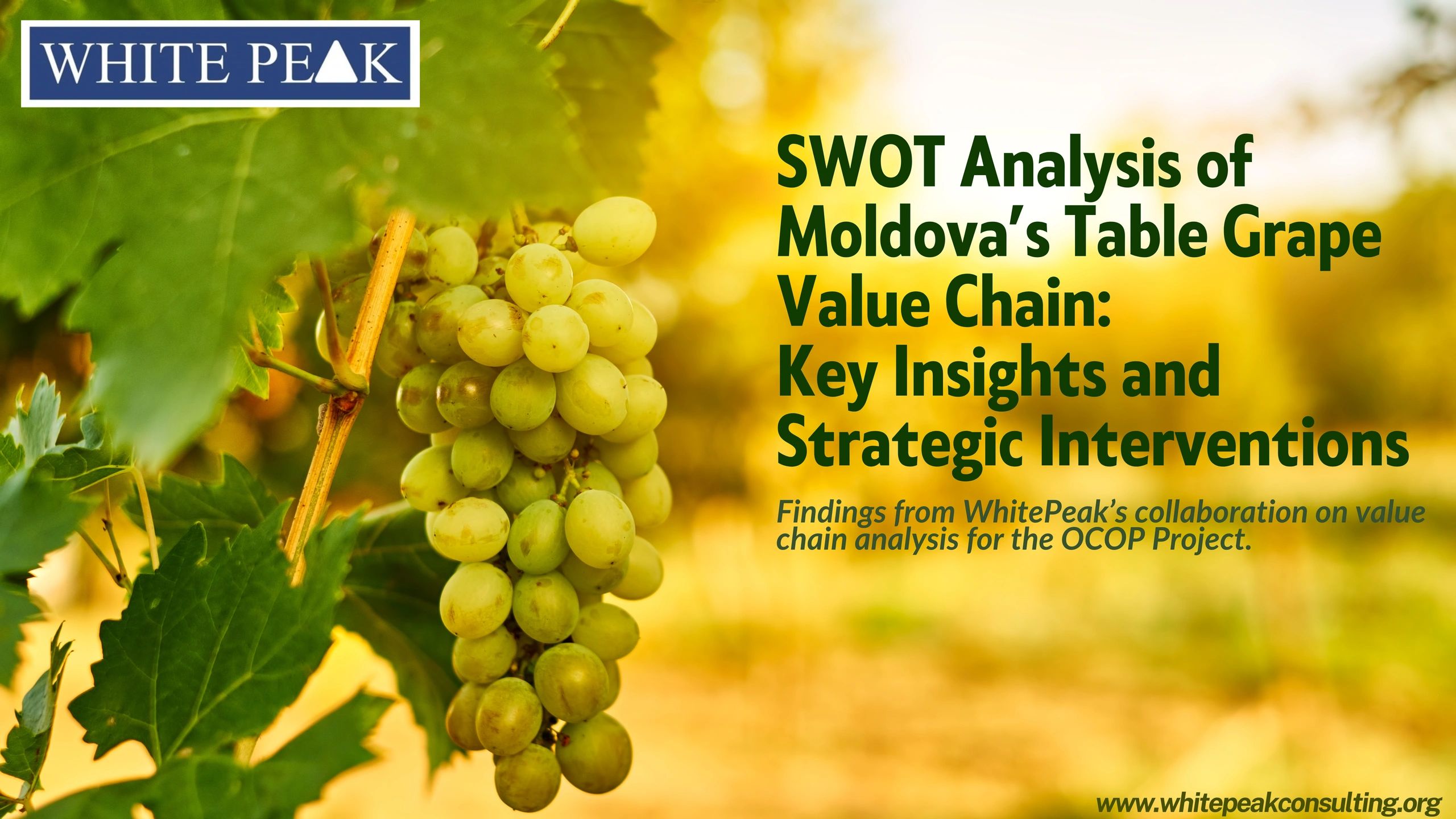 SWOT Analysis of Moldova’s Table Grape Value Chain