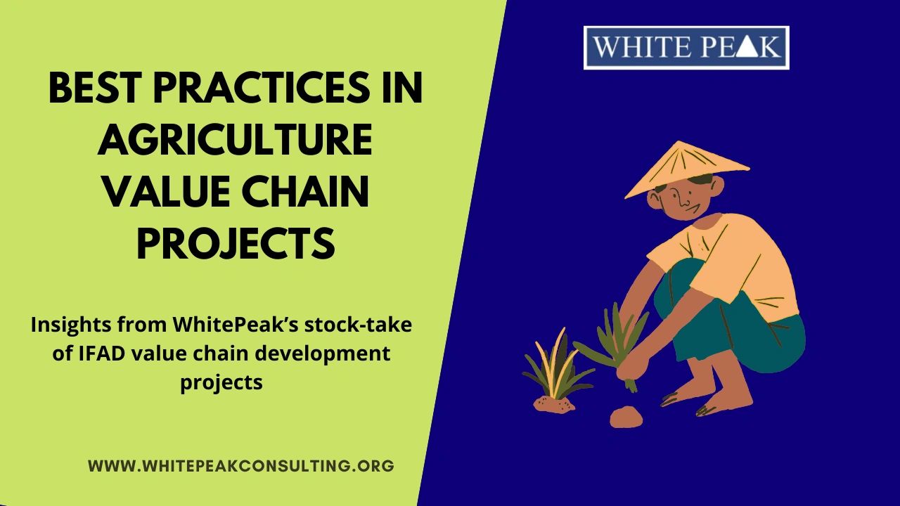 Best Practices in Agriculture Value Chain Projects