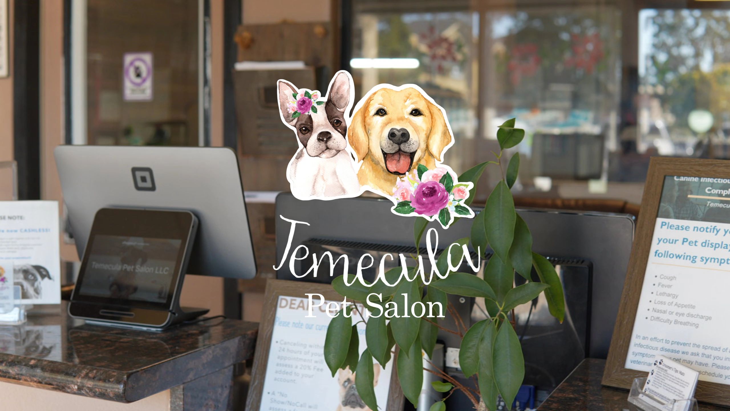 Professional Pet Grooming Services